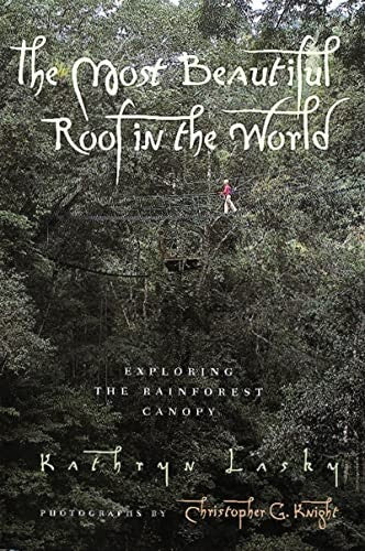 The Most Beautiful Roof in the World By Kathryn Lasky | World of Books US