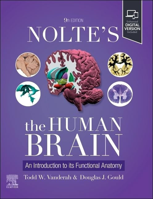 Nolte's The Human Brain By Douglas Gould| World of Books US