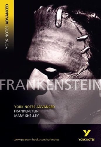 YNA2 Frankenstein everything you need to catch up, study and prepare ...