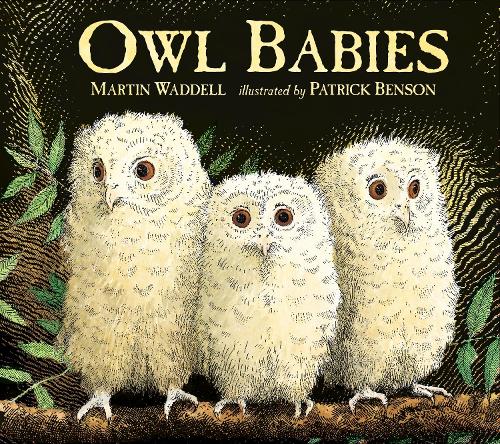 Owl Babies By Martin Waddell | World of Books