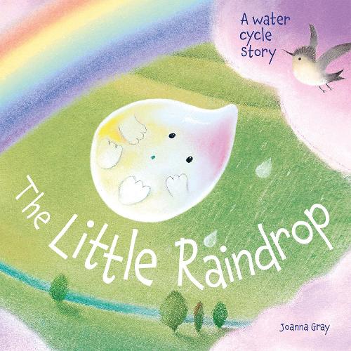 The Little Raindrop - A water cycle story By Joanna Gray | World of Books