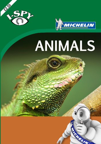 i-SPY Animals By I-Spy | World of Books GB