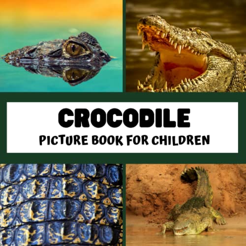 Picture book for children - Crocodile: Discovering Crocodile in ...