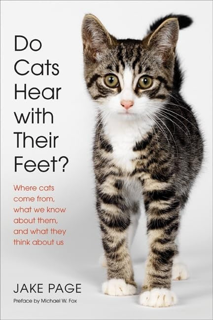 Cats Hear With Their Feet? Where Cats Come From, What We Know About ...
