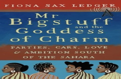 Mr Bigstuff and the Goddess of Charm By Fiona Ledger | World of Books AU