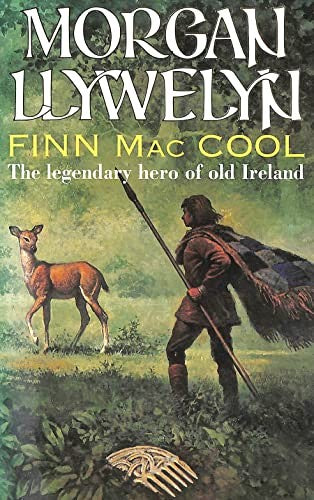 Finn Mac Cool By Morgan Llywelyn | World of Books