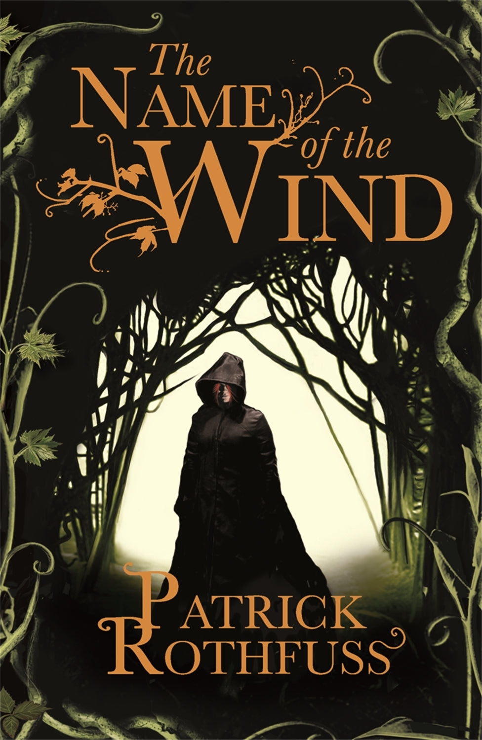 The Name of the Wind By Patrick Rothfuss | World of Books GB