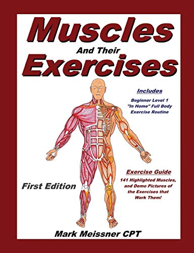 Muscles And Their Exercises By Mark Meissner | World of Books GB