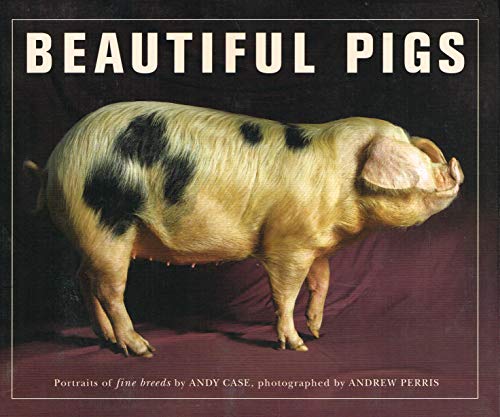 Beautiful Pigs By Andy Case | World of Books