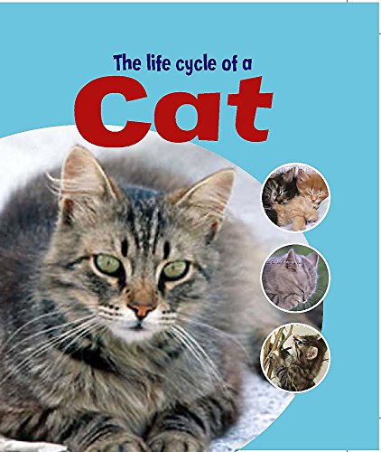 Learning About Life Cycles: The Life Cycle of A Cat By Ruth Thomson ...