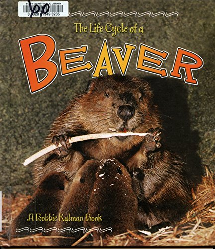 The Life Cycle of a Beaver By Bobbie Kalman | World of Books US