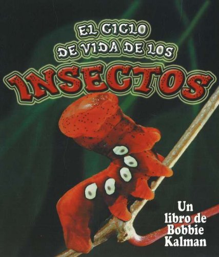 El Ciclo de Vida de Los Insectos (Insect Life Cycles) By Molly Aloian ...