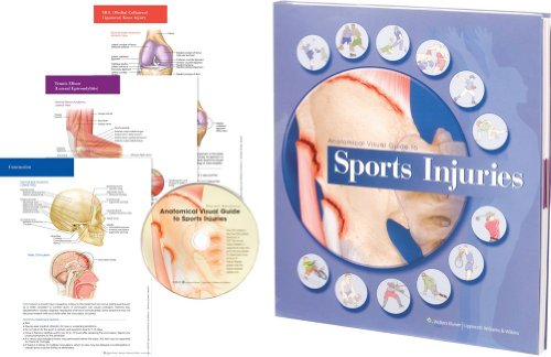 Anatomical Visual Guide to Sports Injuries By Anatomical Chart Company ...