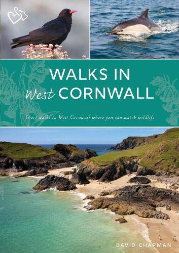 Walks in West Cornwall By David Chapman | World of Books