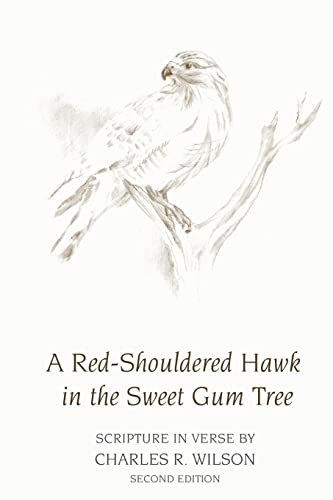 A Red-Shouldered Hawk In The Sweet Gum Tree By Charlene Rose Johnson ...