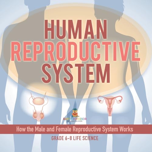 Human Reproductive System How the Male and Female Reproductive System ...