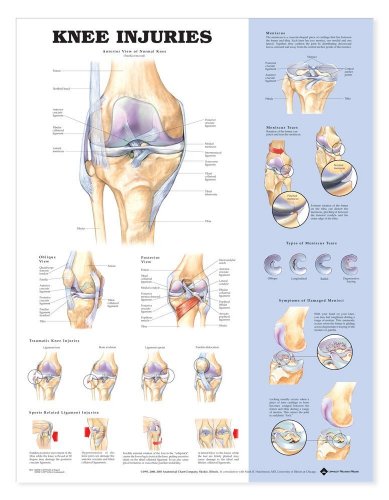 Knee Injuries Anatomical Chart By Anatomical Chart Company | World of ...