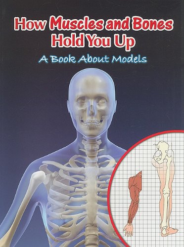 How Muscles and Bones Hold You Up By Marcia Freeman | World of Books US