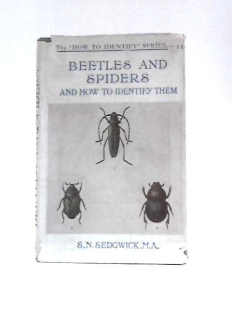 Common British Beetles and Spiders and How to Identify Them | Old ...