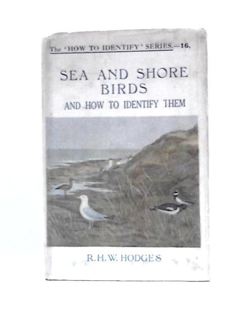 Sea and Shore Birds (and How to Identify Them) the 'How to Identify ...