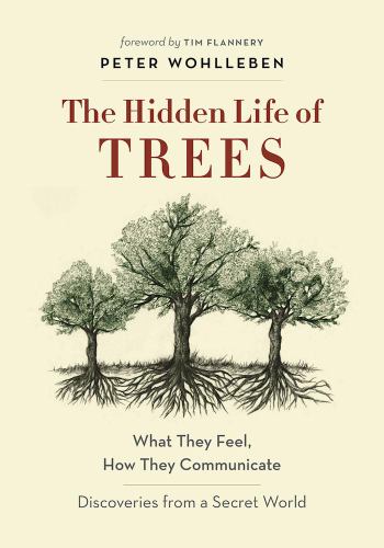 The Hidden Life of Trees By Peter Wohlleben| World of Books GB