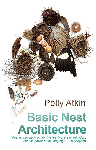 Basic Nest Architecture By Polly Atkin | World of Books