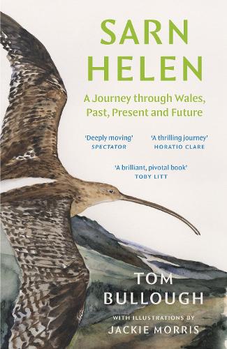 Sarn Helen By Tom Bullough | World of Books GB