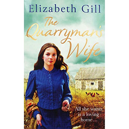 Elizabeth Gill The Quarrymans Wife| World of Books US