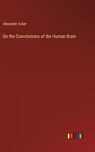 On the Convolutions of the Human Brain By Alexander Ecker | World of Books