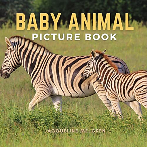 Baby Animal Picture Book By Jacqueline Melgren | World of Books US