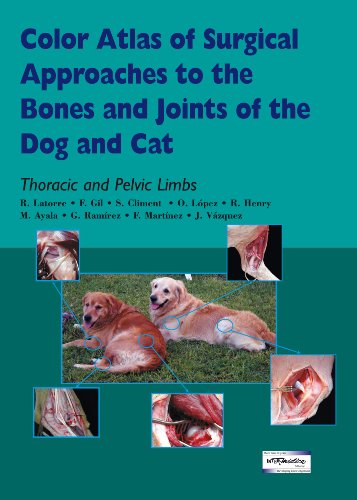 Color Atlas of Surgical Approaches to the Bones and Joints of the Dog ...