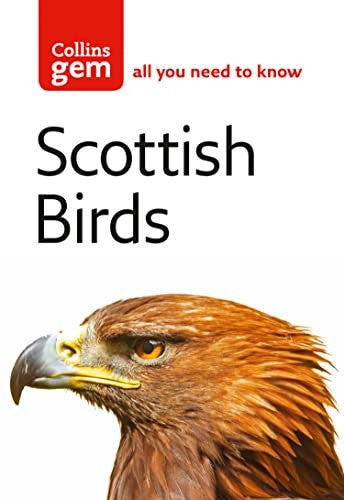 Scottish Birds| World of Books GB