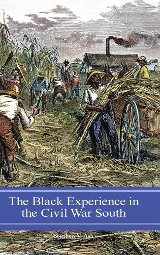 The Black Experience in the Civil War South By Stephen V Ash | World of ...