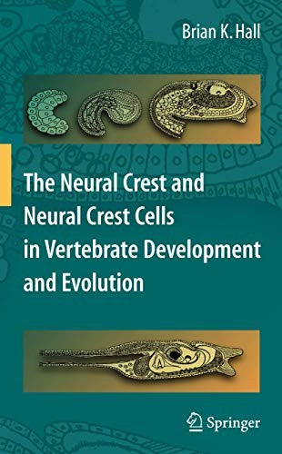 The Neural Crest and Neural Crest Cells in Vertebrate Development and ...