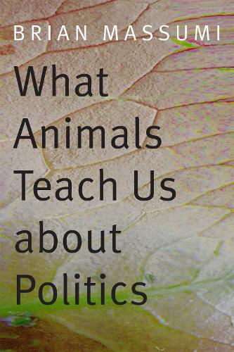 What Animals Teach Us About Politics By Brian Massumi | World of Books US