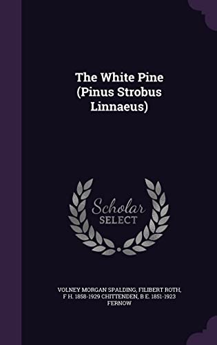 The White Pine (Pinus Strobus Linnaeus) By Volney Morgan Spalding ...