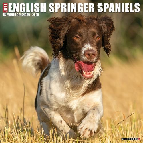 English Springer Spaniels 2026 Wall Calendar By Willow Creek Press ...