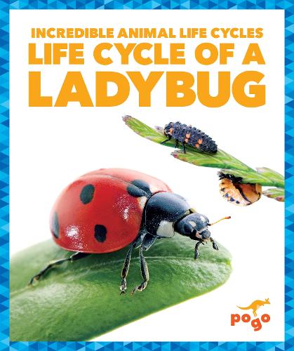 Life Cycle of a Ladybug| World of Books GB