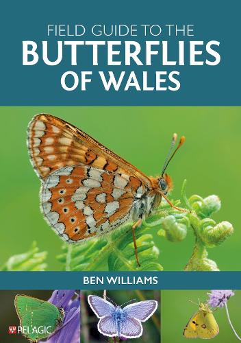 Field Guide to the Butterflies of Wales By Ben Williams | World of Books GB