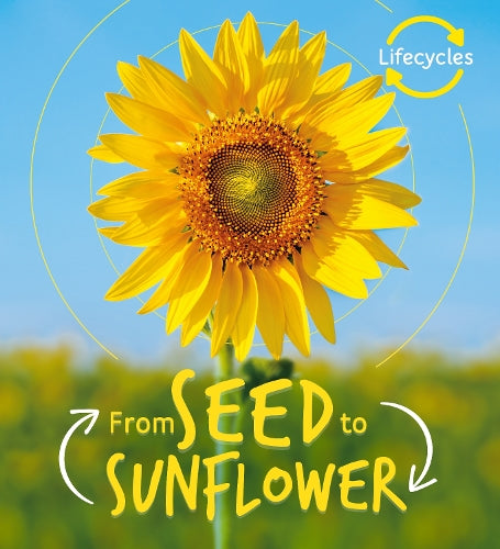 Lifecycles: Seed to Sunflower| World of Books GB