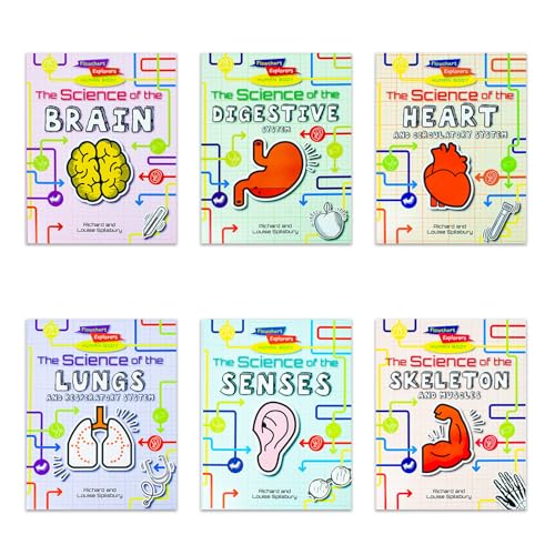 Flowchart Explorers Human Body STEM 6 Science Books Set By Richard And ...