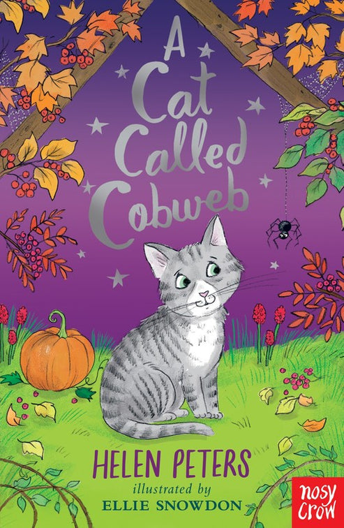 A Cat Called Cobweb By Helen Peters