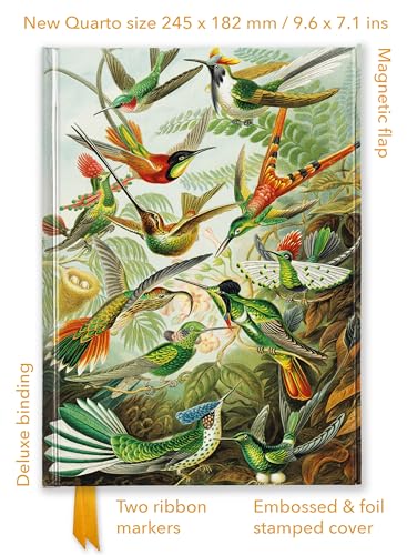 Ernst Haeckel: Hummingbirds (Foiled Quarto Journal) By Flame Tree ...