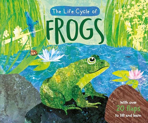 The Life Cycle of Frogs By Nicola Moore | World of Books US