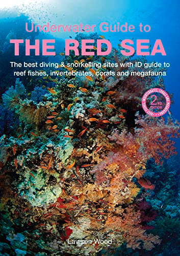 An Underwater Guide to the Red Sea (2nd)| World of Books GB