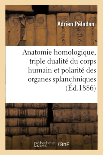 Anatomie Homologique, La Triple Dualité Du Corps Humain Et La Polarité ...