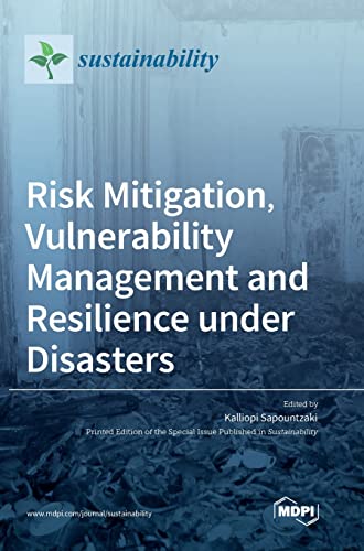 Risk Mitigation, Vulnerability Management and Resilience under ...