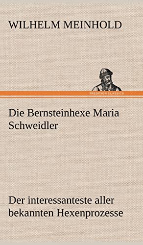 Die Bernsteinhexe Maria Schweidler By Wilhelm Meinhold | World of Books