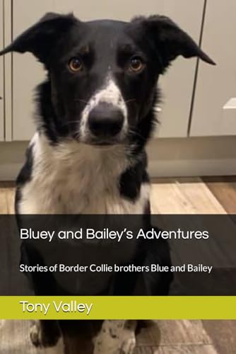 Bluey and Bailey's Adventures : Stories of Border Collie Brothers Blue ...