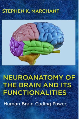 Neuroanatomy of The Brain and its Functionalities By Stephen K Marchant ...